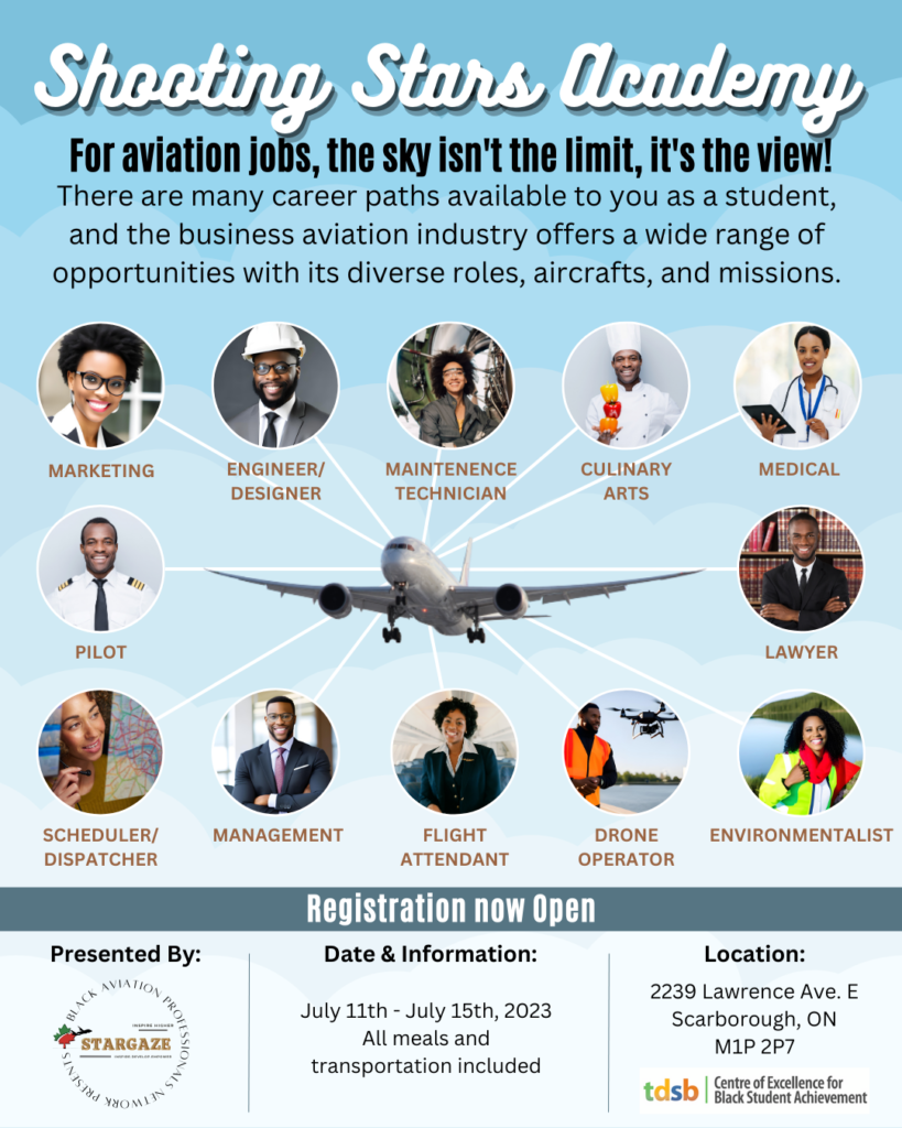 The Black Aviation Professionals Network (BAPN) - Home